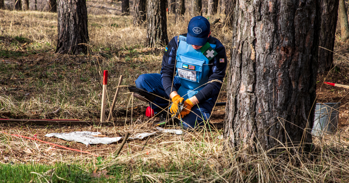 Clearing land in Ukraine: HALO's impact so far | The HALO Trust USA