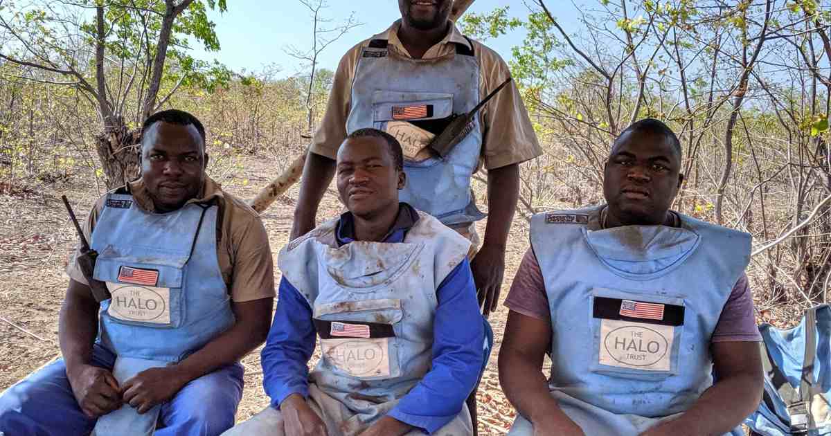 Demining research backed by US Senators | The HALO Trust USA